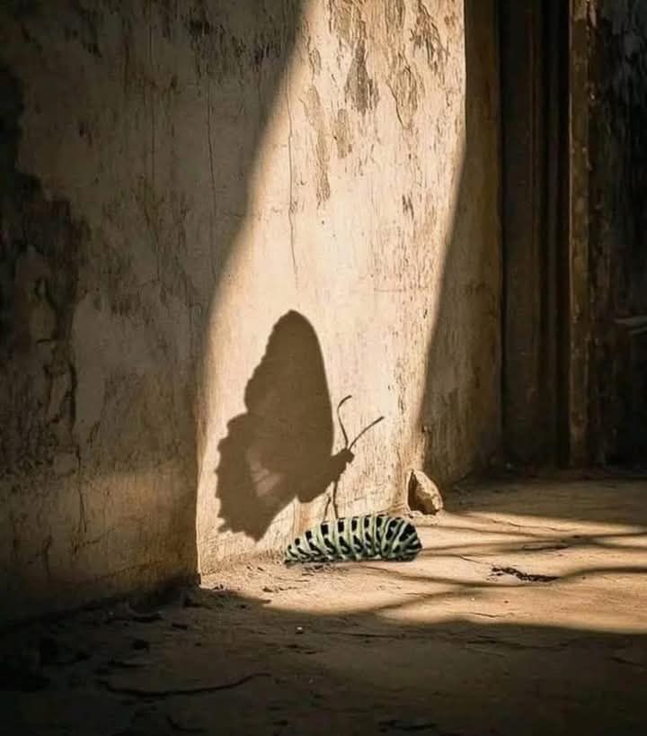 DEPRESSION SUPPORT – 27 APRIL 2025 – Celeste Hattingh – Holistic Life and Transformation Coach